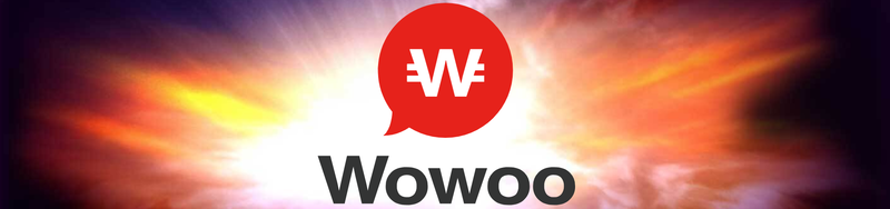Wowbit上場！WowooのCEOにインタビュー | みんなの仮想通貨